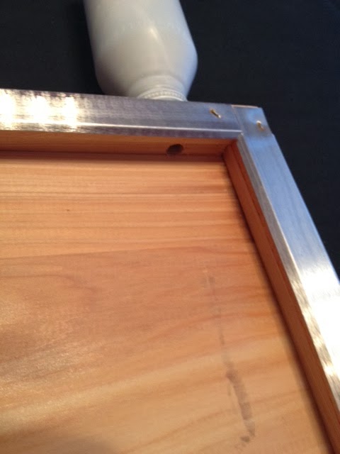 Beetle Baffle Latest News: More Shows and a New Trap Idea